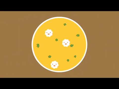 Dorset Food Waste - Where Waste Goes