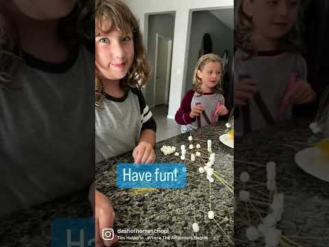 Easy STEAM Activity for Kids 🧪