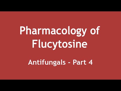 Flucytosine Tablet - Fcfung Latest Price, Manufacturers & Suppliers
