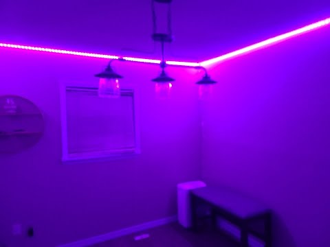 MINGER LED Strip Lights 32.8ft, Bluetooth Music Sync RGB Lights with App Phone Control, Remot Review