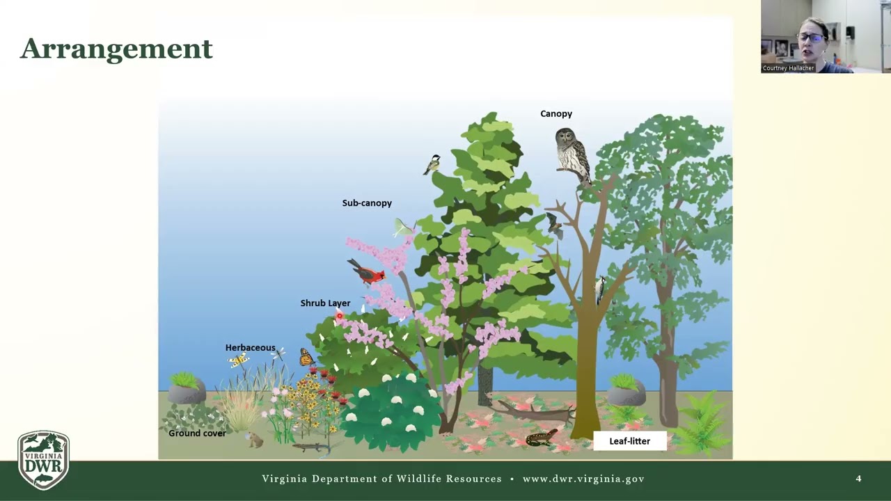Envirothon Wildlife Training: Introduction into Wildlife Learning Objectives