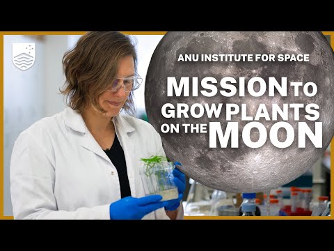 Meet the biologist behind a space mission to grow plants on the moon