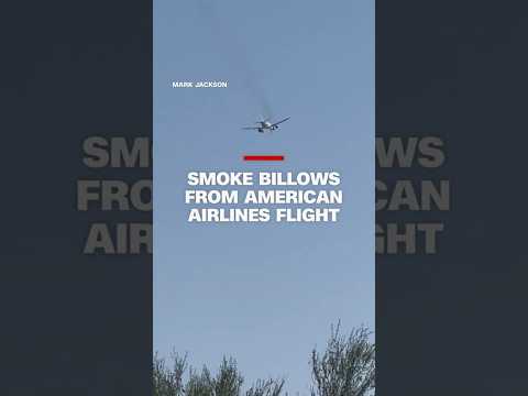 Smoke billows from American Airlines flight