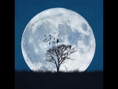 2 Moons in Hebrew #shortsfeed #shortsfeed #shortsyoutube #shorts #shortvideo #shortvideos