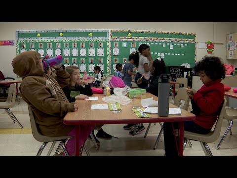 Brooklyn Center Schools Hopes to Expand Mental Health Care If Levy Approved