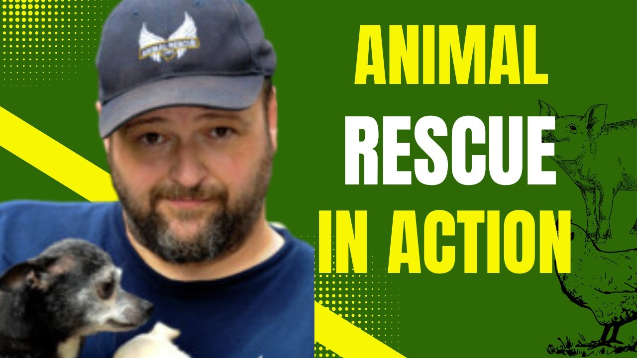 042: Rescuing the Forgotten: How Tim Woodward is Transforming Massive Animal Hoarding Cases to Hope