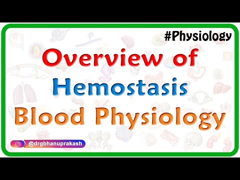 Blood Cell Differentiation - Hematology - Medbullets Step 1