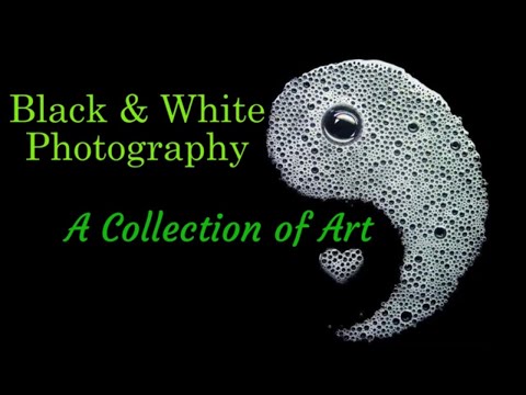 Black and White Photography, A Collection of Art