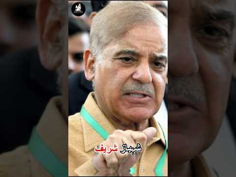 What FIA Discovered About Shehbaz and Hamza's Rs16bn Graft Case Will Leave You Speechless