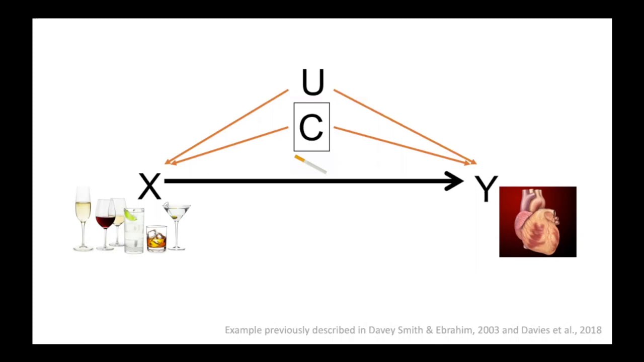 PGC: What is Mendelian Randomization? - Rebecca Lawn