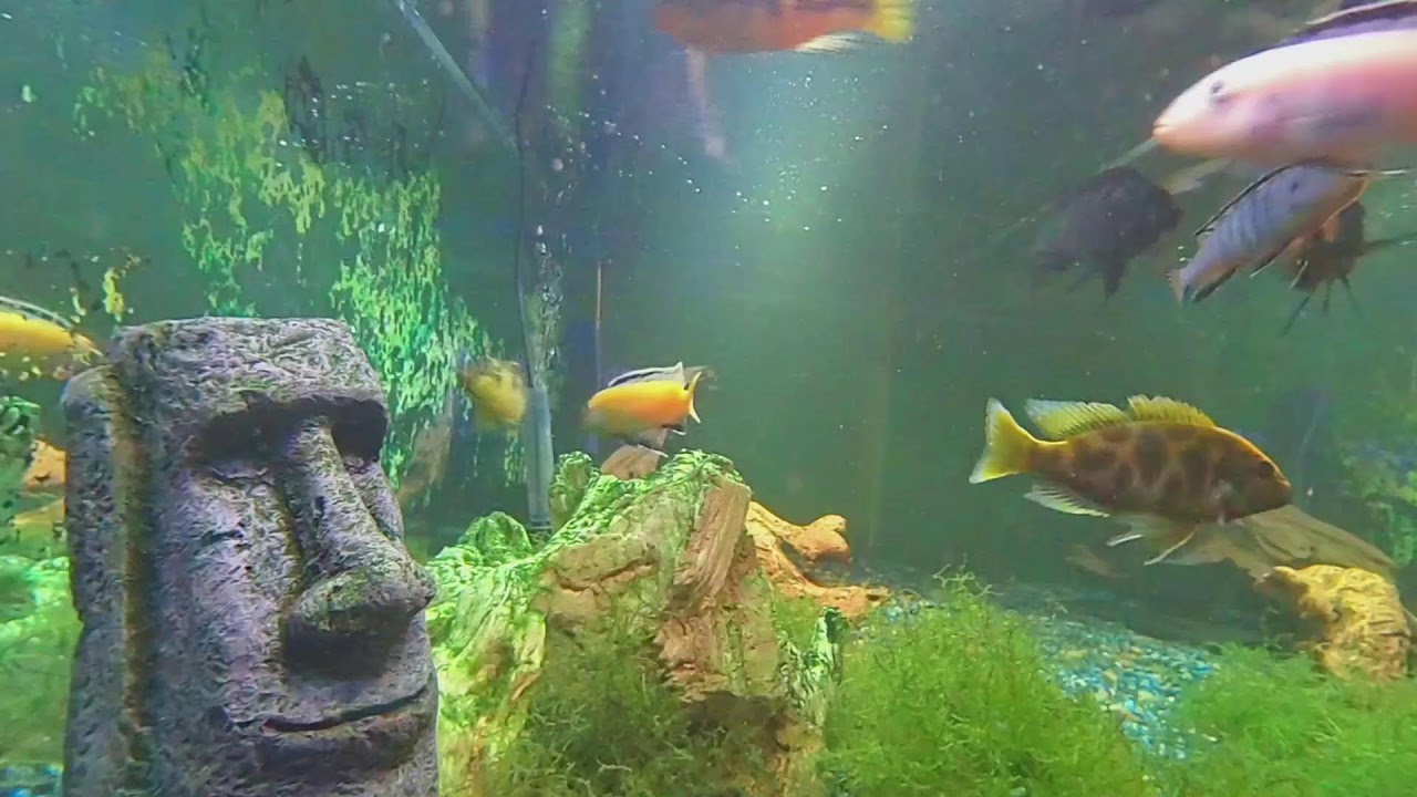 Trying out something new, what do you think?