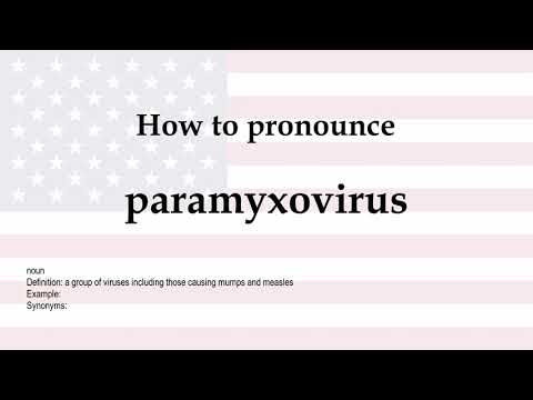 How to pronounce 'paramyxovirus' + meaning