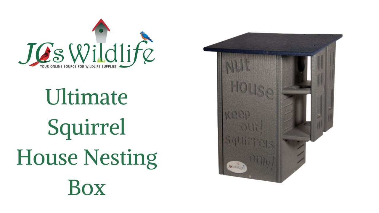 Ultimate Squirrel House Product Overview