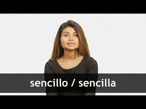 English Translation of “SENCILLO” | Collins Spanish-English Dictionary