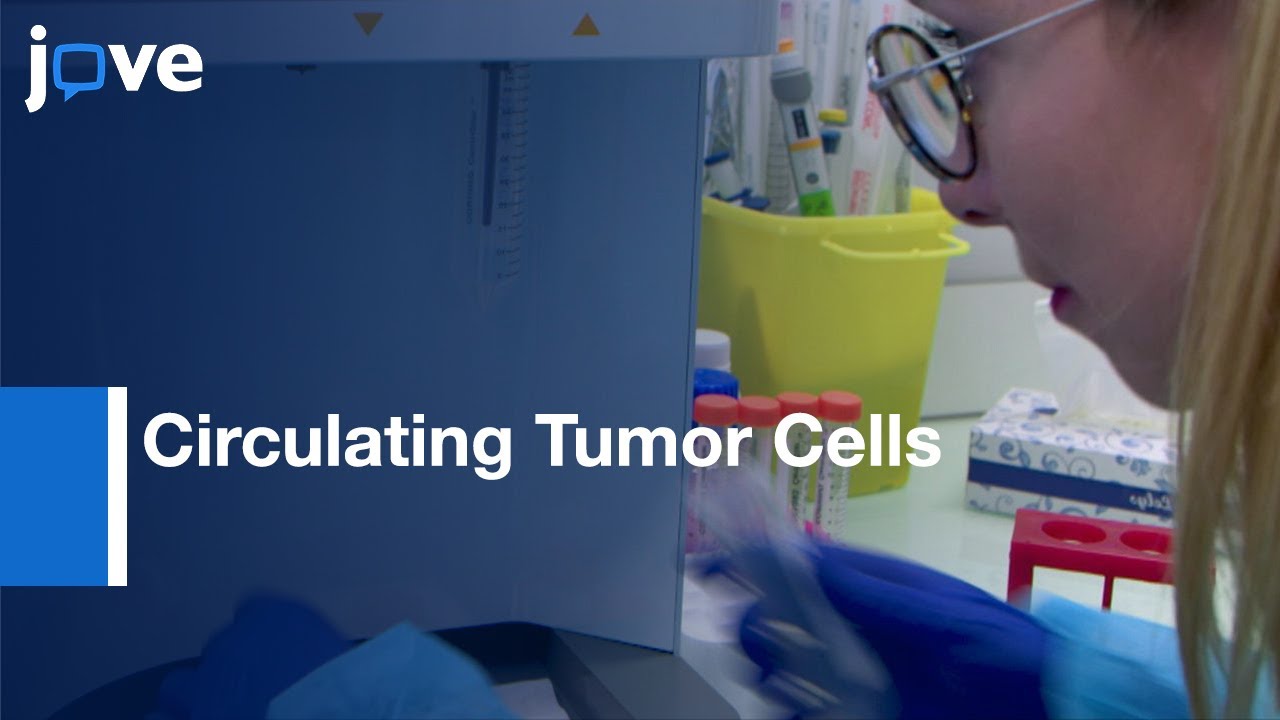 Circulating Tumor Cells and PD-L1 Characterization by IF | Protocol Preview