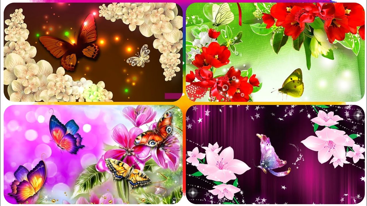 Hd Wallpapers Brightness Of Butterflies | Tulips Cheerful Wallpapers @Nature Beautiful Wallpapers