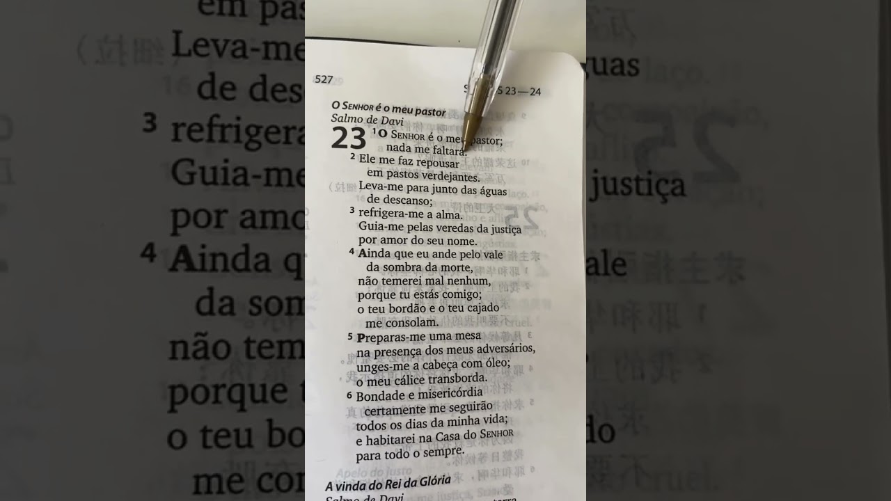 O SENHOR é o meu Pastor: nada me faltará. SALMO 23