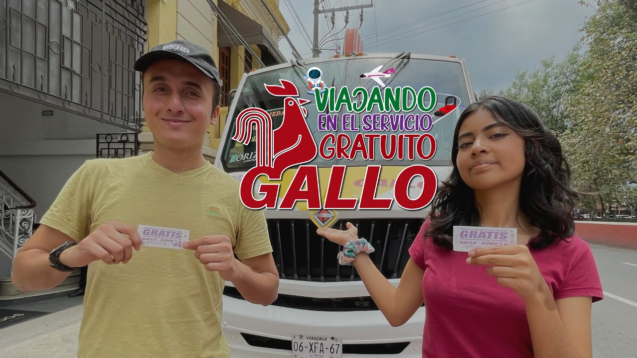 ¡Viajando gratis por Orizaba abordo del Gallo! 🐔