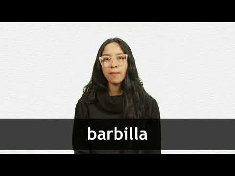 English Translation of “BARBILLA” | Collins Spanish-English Dictionary