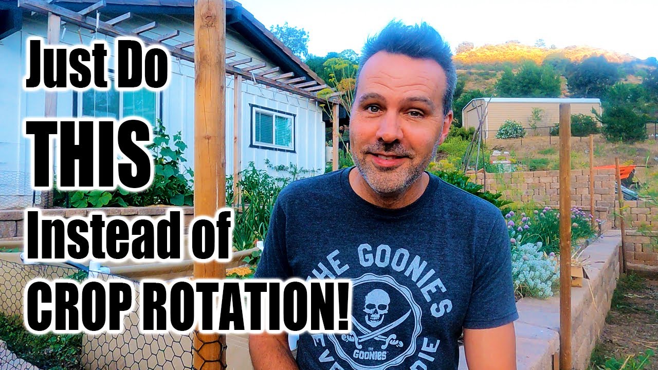 Do you NEED to Rotate Your Crops?