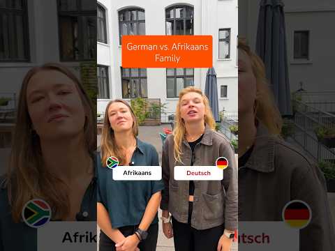 Do Afrikaans and German share similar family vocabulary? 🇩🇪🇿🇦