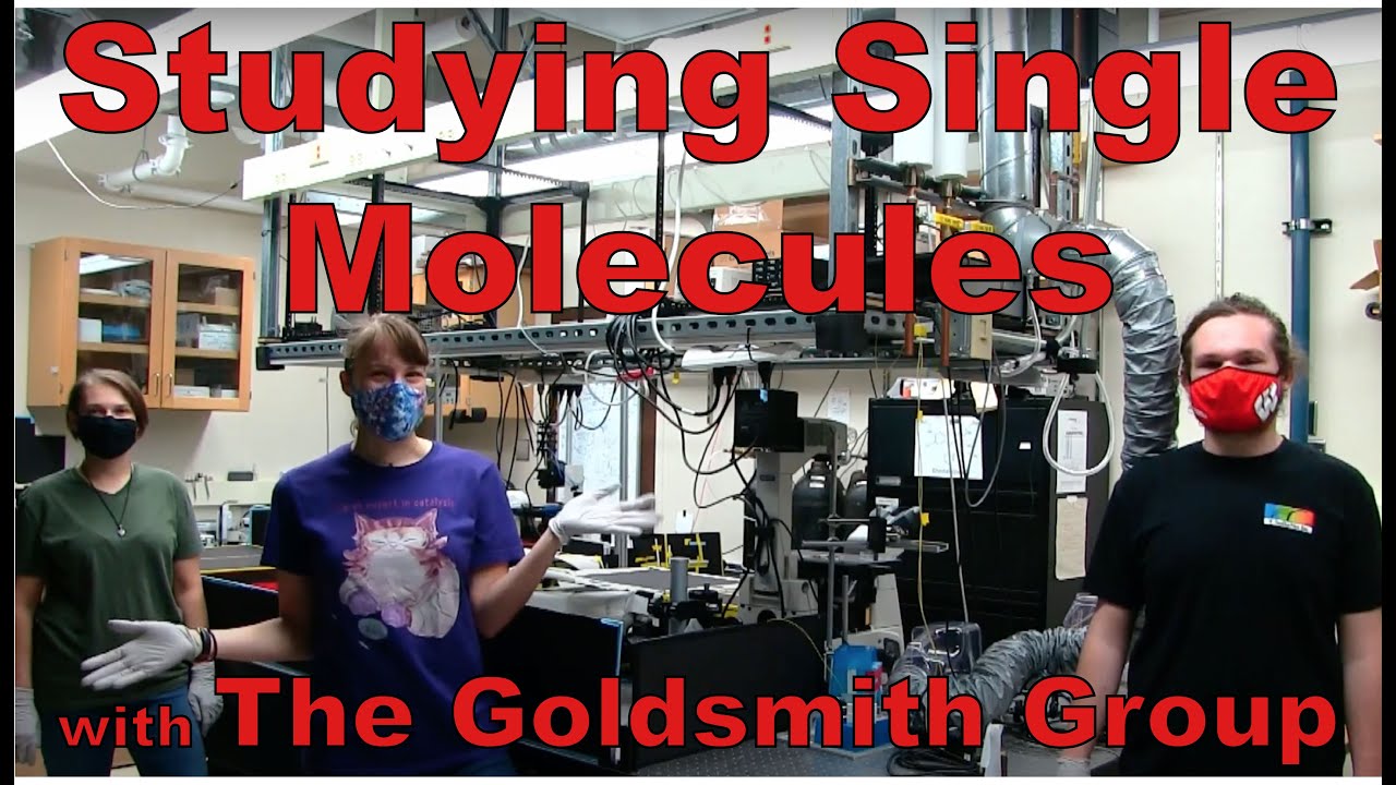 Studying Single Molecules with the Goldsmith Group
