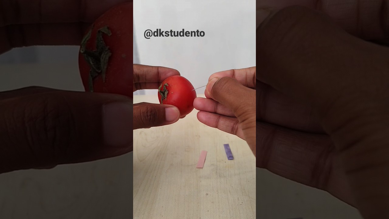 Litmus paper experiment #shorts #science