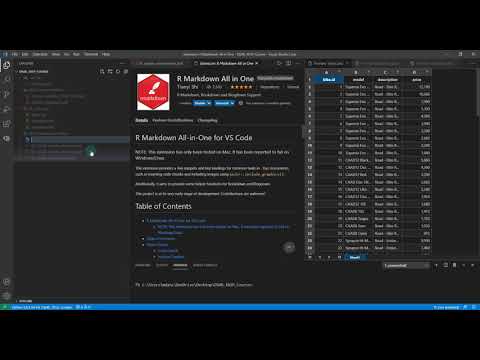 VSCode R-User Data Science Setup: R, R LSP, RMarkdown All-In-One