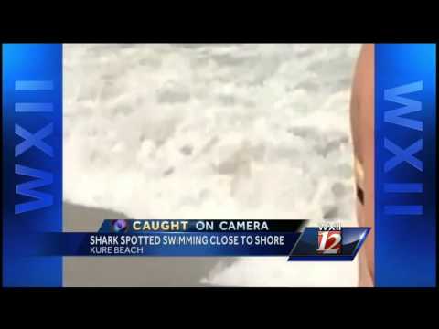 Caught on Camera: Shark spotted near Kure Beach shore