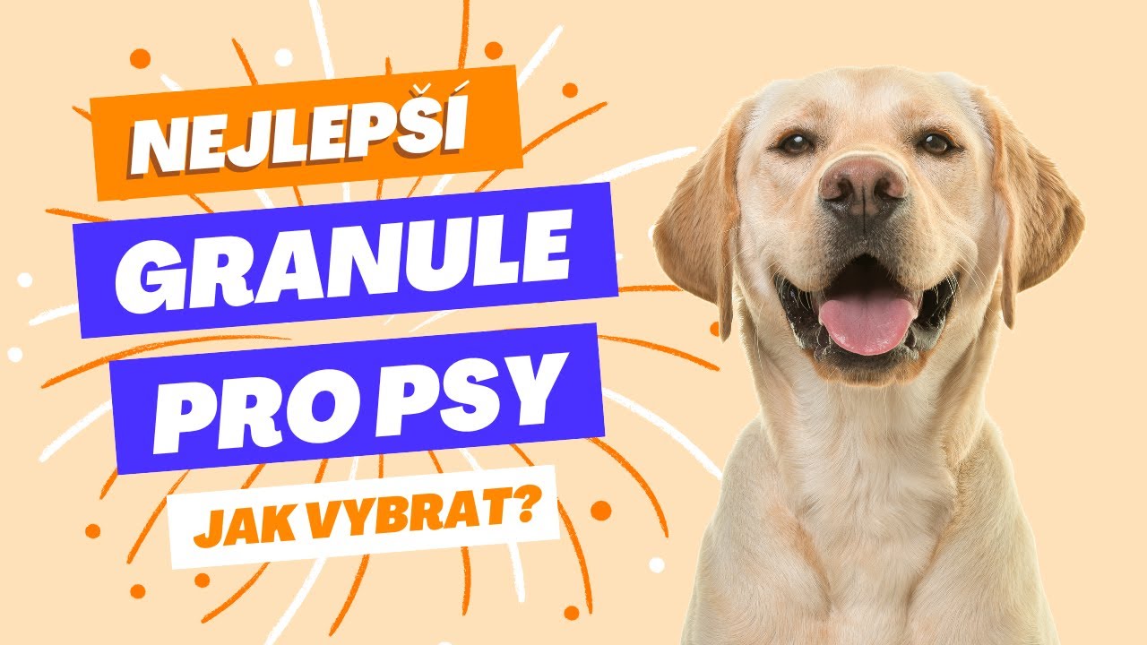 Můj výběr 5 nejlepších granulí pro psy a jak je vybírat? [TEST]
