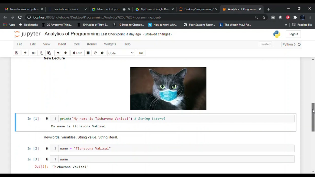 Foundational Python Programming Fundamentals for Data Scientists - Lecture 3