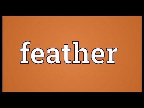 Feather Meaning