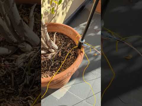 Hola CQ The Gabil GRA-7350TC Rooftop Poolside Ops | ve3ips