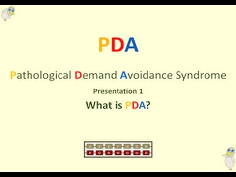 What is PDA?