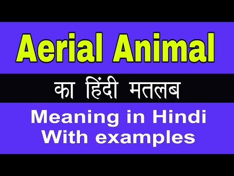Aerial Animal Meaning in Hindi/Aerial Animal का अर्थ या मतलब क्या होता है