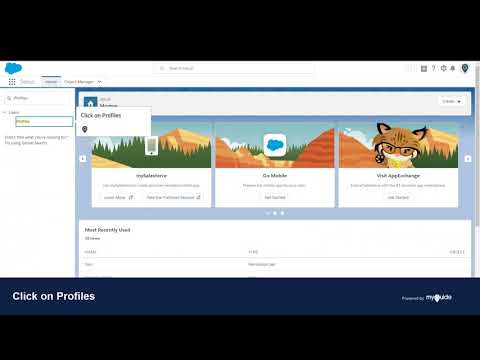 How to Manage Standard Object Permissions in Profile in Salesforce Lightning