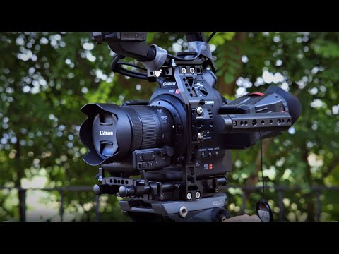 Canon C100 MK I DAF: my set up in 2020