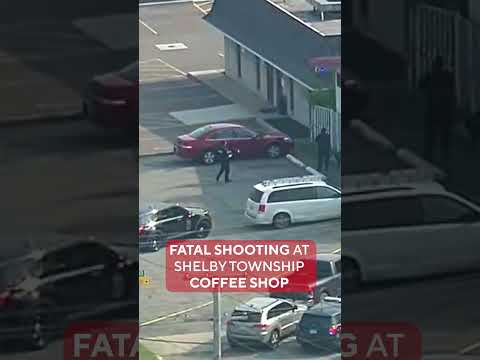 Shelby Township police shot a man after he fled traffic stop