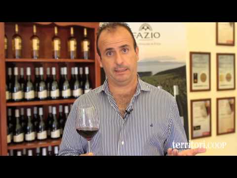 Come consumare il Nero d'Avola della Casa Vinicola Fazio