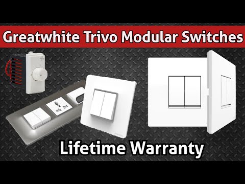 Great White Switch at Best Price in India