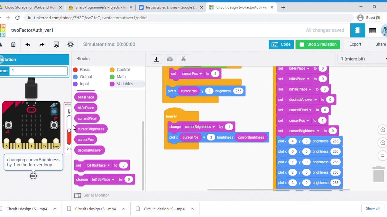 Testing Variable Brightness micro:bit