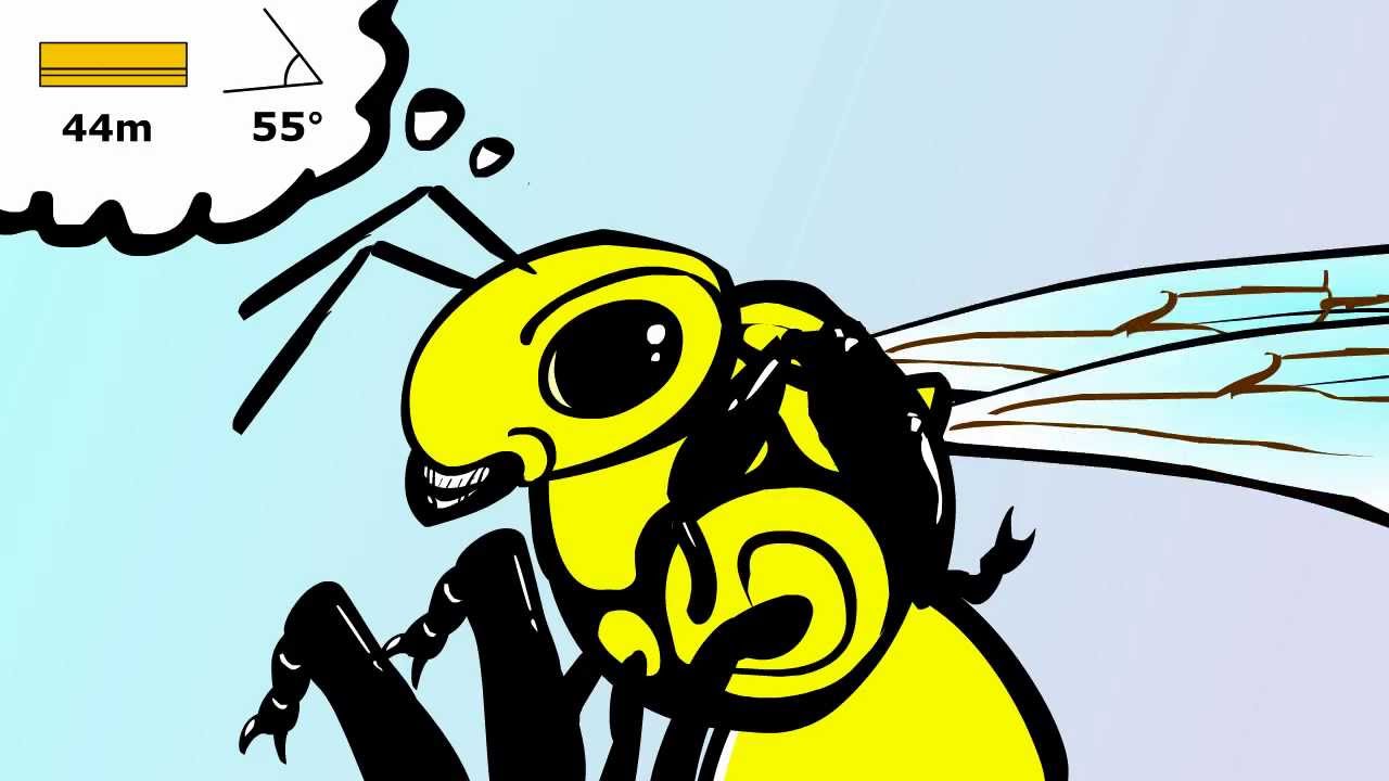 Figure 8 Dance - How do bees communicate?