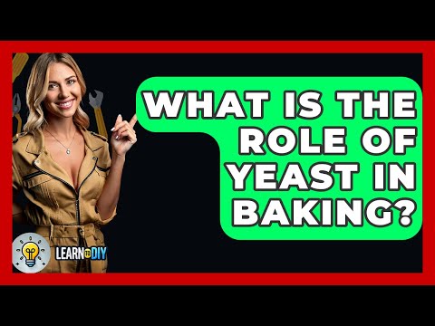 What Is The Role Of Yeast In Baking? - LearnToDIY360.com