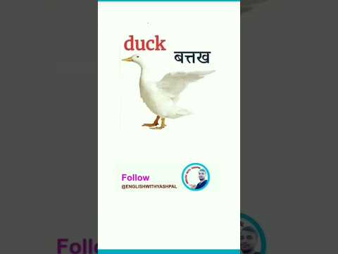 Duck Meaning in Hindi/ duck ka hindi matlab kya hai/ duck meaning/English to Hindi #english #shorts