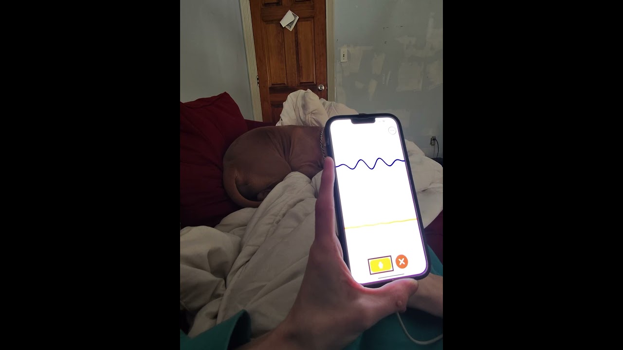 Meet Ally you’re everywhere and personalized assistant by Envision#BlindBetaTester#LetsEnvision#AI