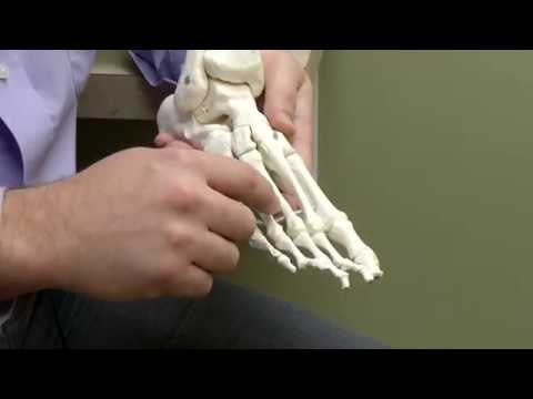Podiatrist and Foot Pain