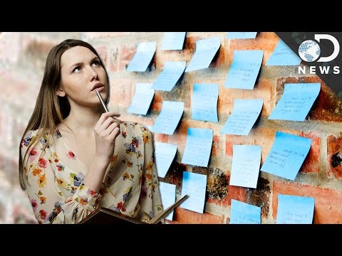 Why Do We Forget?