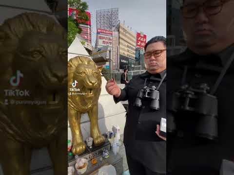 [TikTok] Kim Jong-un vs Gold lion  #Shorts