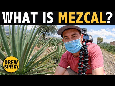 What is MEZCAL? (It's Better Than Tequila!)
