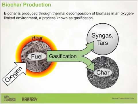 Webinar: Biochar Production Using Forest Residuals